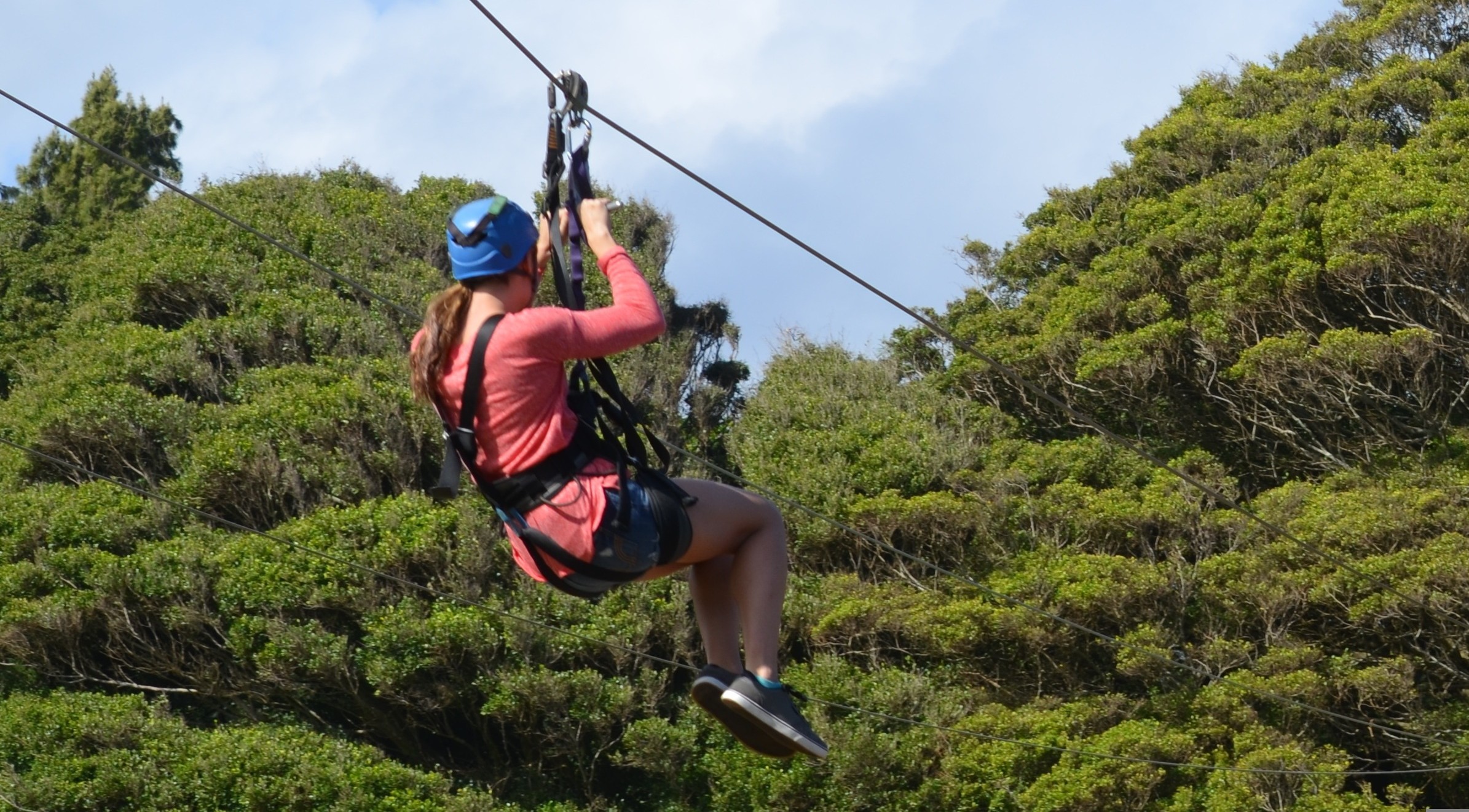 Jesus Answers Our Hesitation with Himself | Next Step Disciple